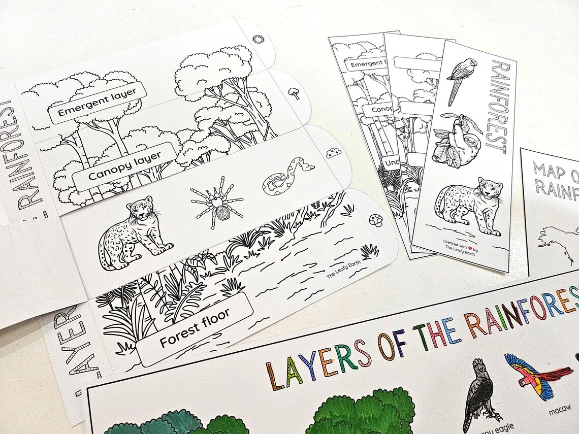 Layers of the Rainforest Poster, Flipbook, Foldable, Forest Map ...