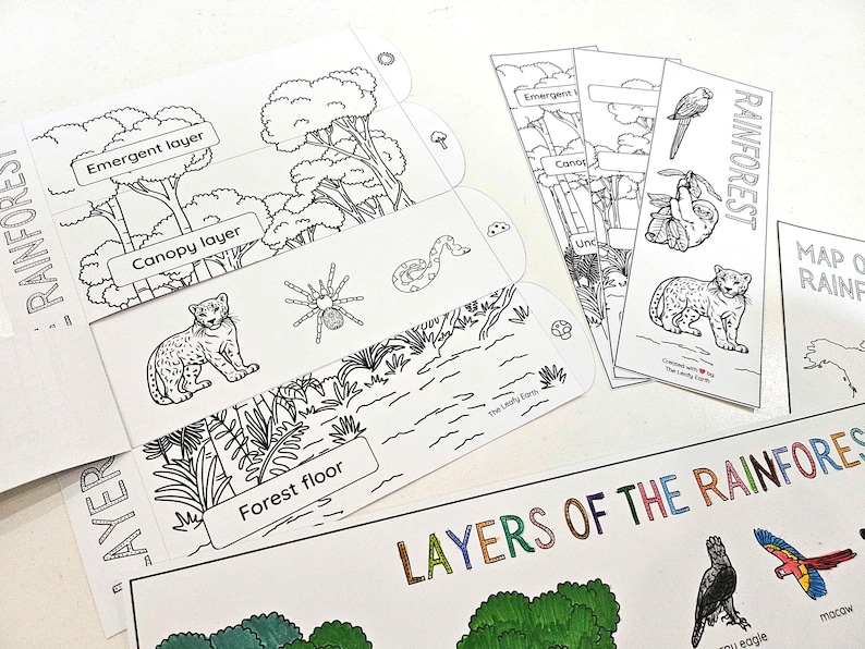 Layers of the Rainforest Poster, Flipbook, Foldable, Forest Map ...