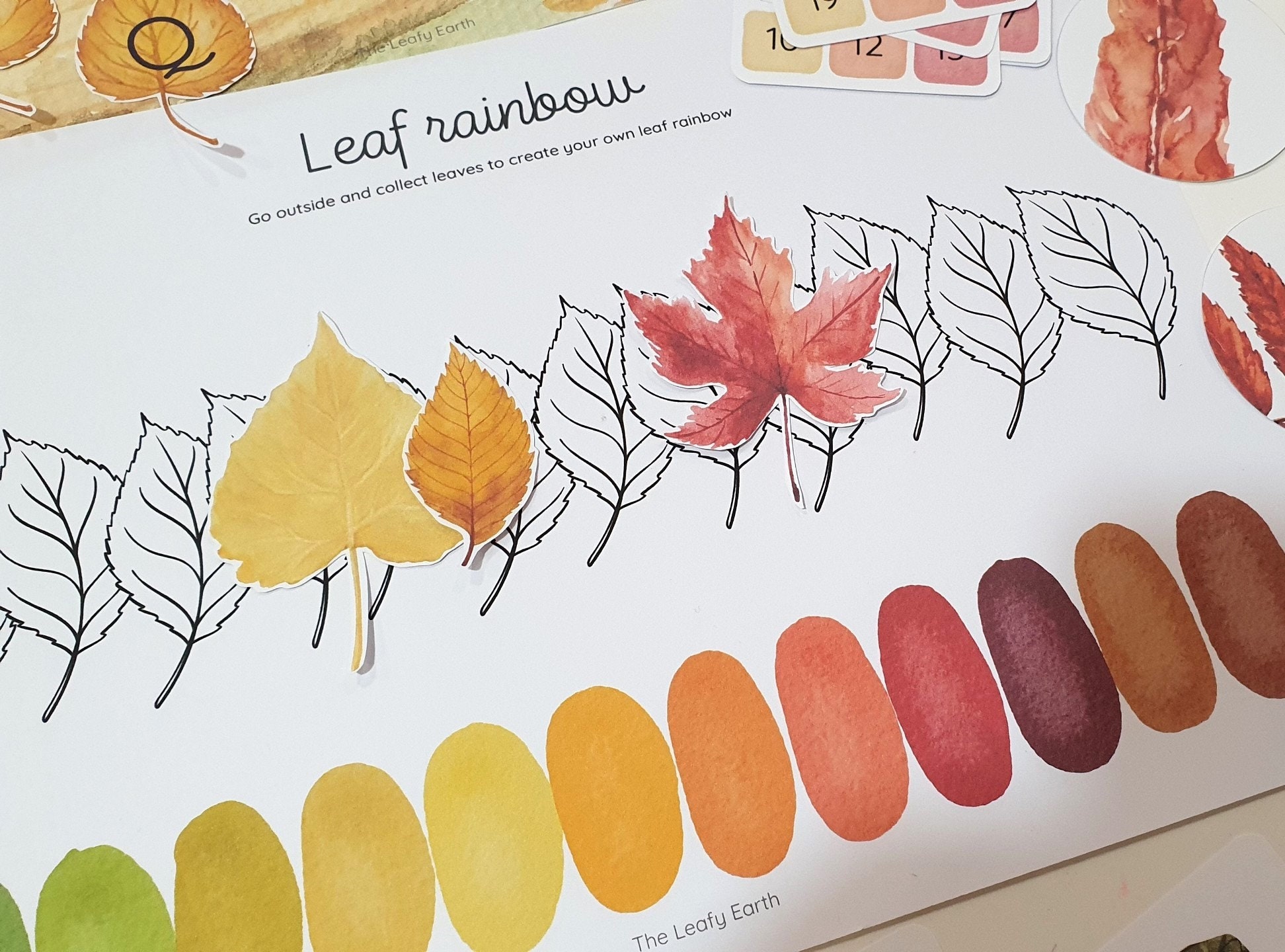 Autumn Leaf Activity Pack, Leaf Unit Study, Autumn Color Sorting, Leaf ...
