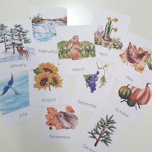 Months of the Year Cards, Nature Seasonal Flashcards, Toddler Morning ...
