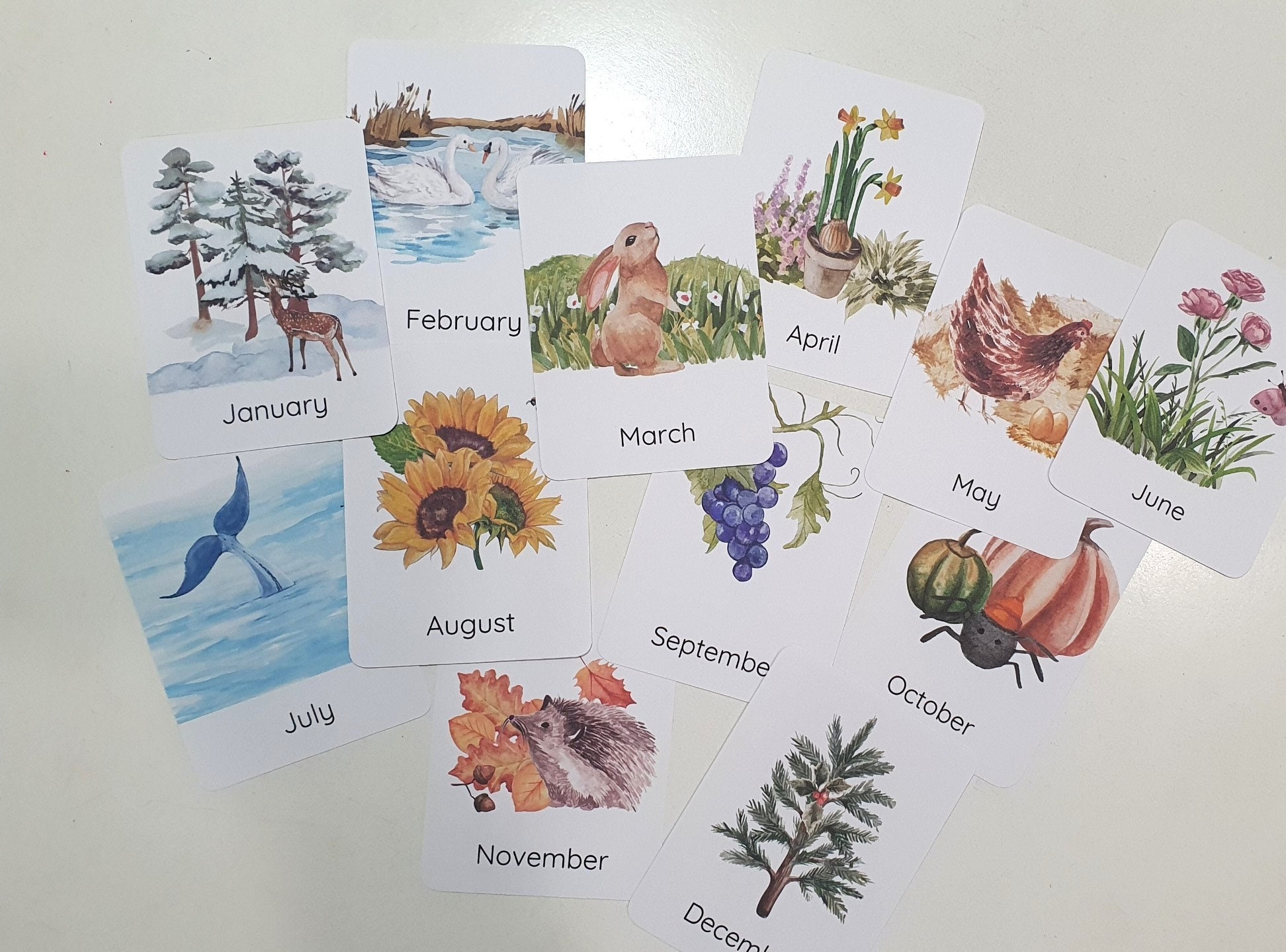 Months of the Year Cards, Nature Seasonal Flashcards, Toddler Morning ...