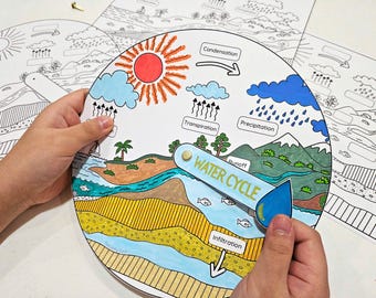 Modèle et activité scientifique pour enfants avec modèle du cycle de l ...