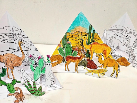 Desert Habitat Drawing For Kids
