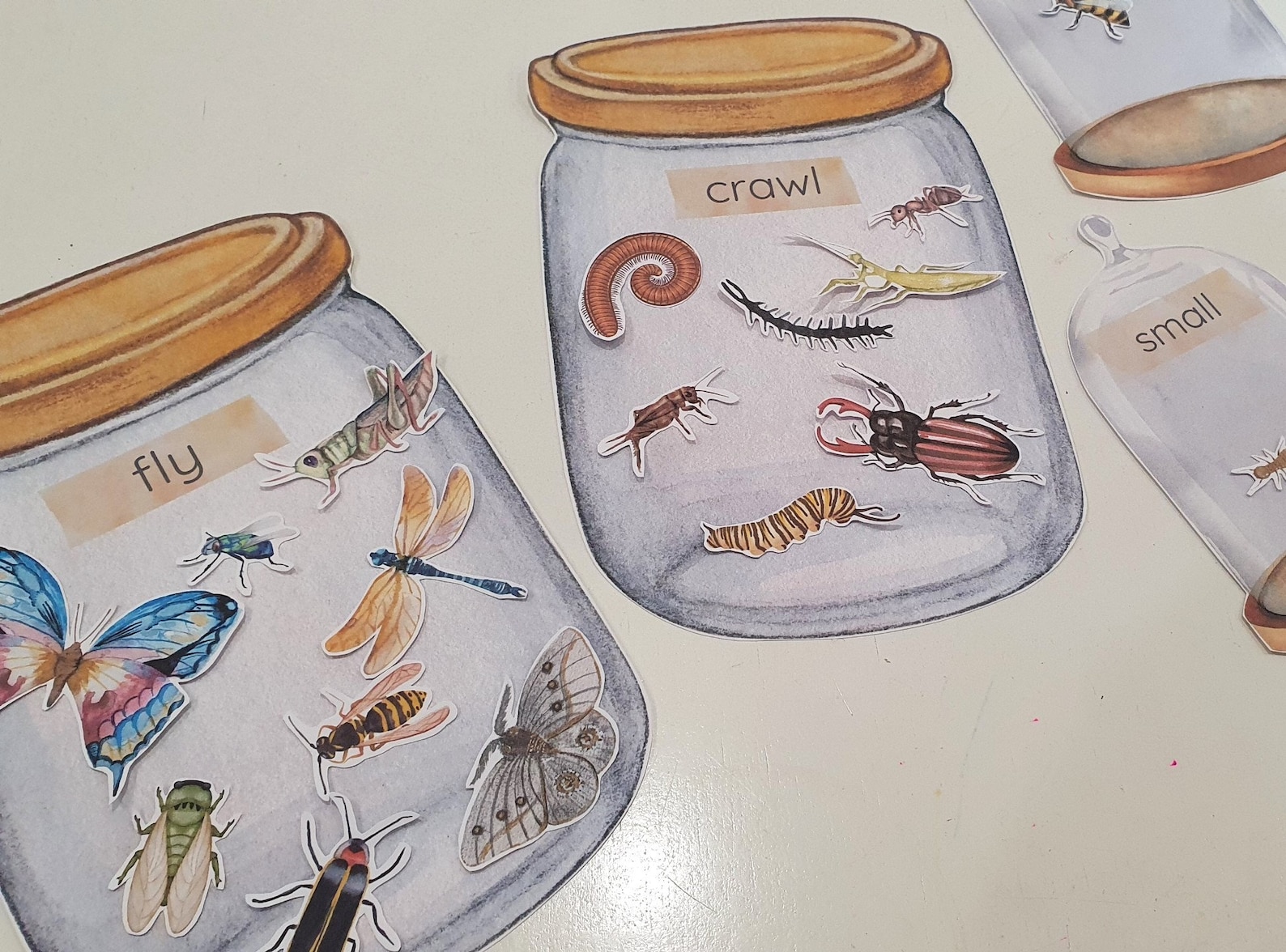 Insect Jar Sorting Games, Insect Size Match, Flying or Crawling Bug ...