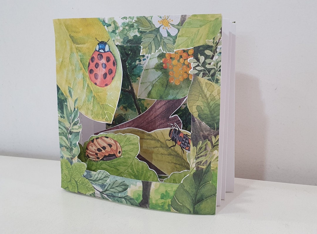 Ladybug Life Cycle Pop up Printable, Greeting Card, DIY Kid Paper ...