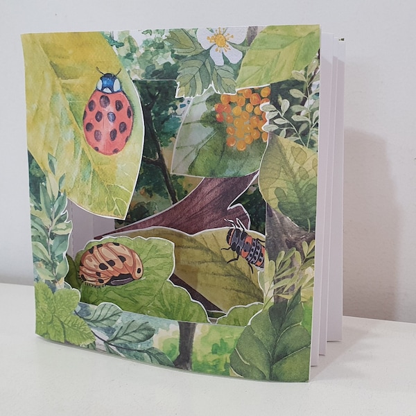 Nature Diorama - Etsy