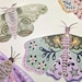 Articulated Paper Moths, Moth Paper Puppets, Printable Paper Moths, DIY ...
