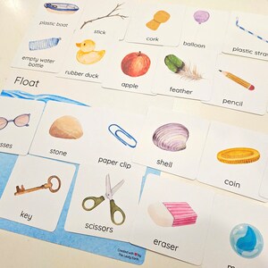 Sink or Float Sorting Game, Prediction and Observation Worksheet ...