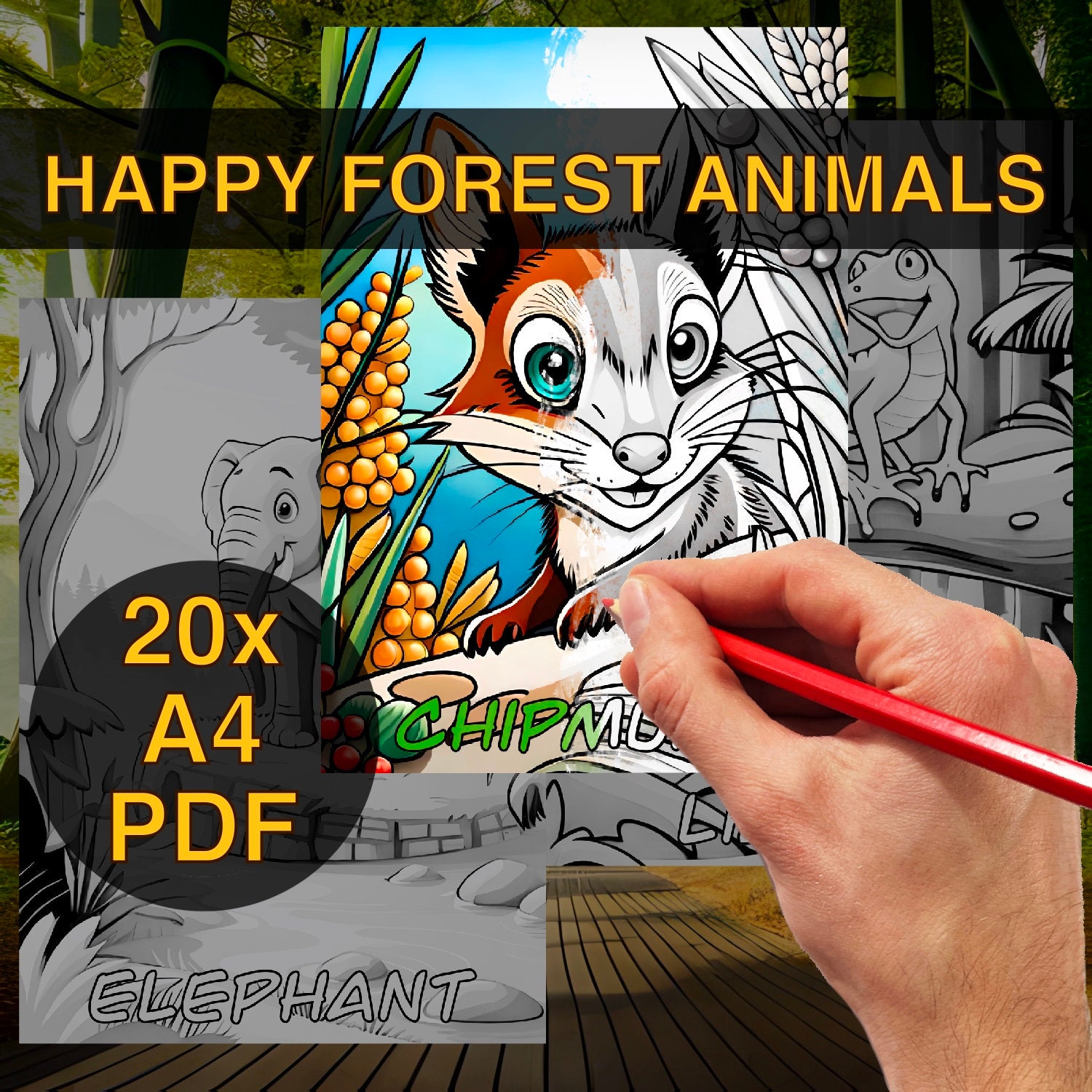Children Coloring Pages to Learn Animals, Printable PDF - Etsy