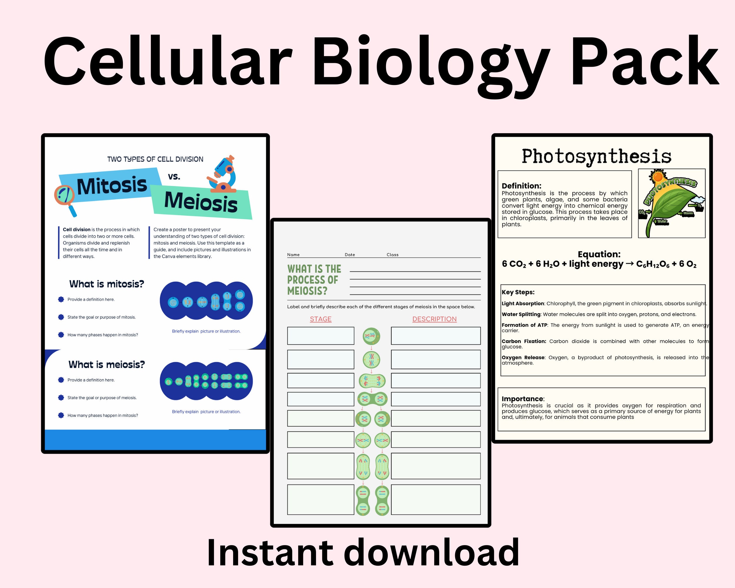 Biology Note Set 53 Pages Biology Cell Structure Note Photosynthesis ...