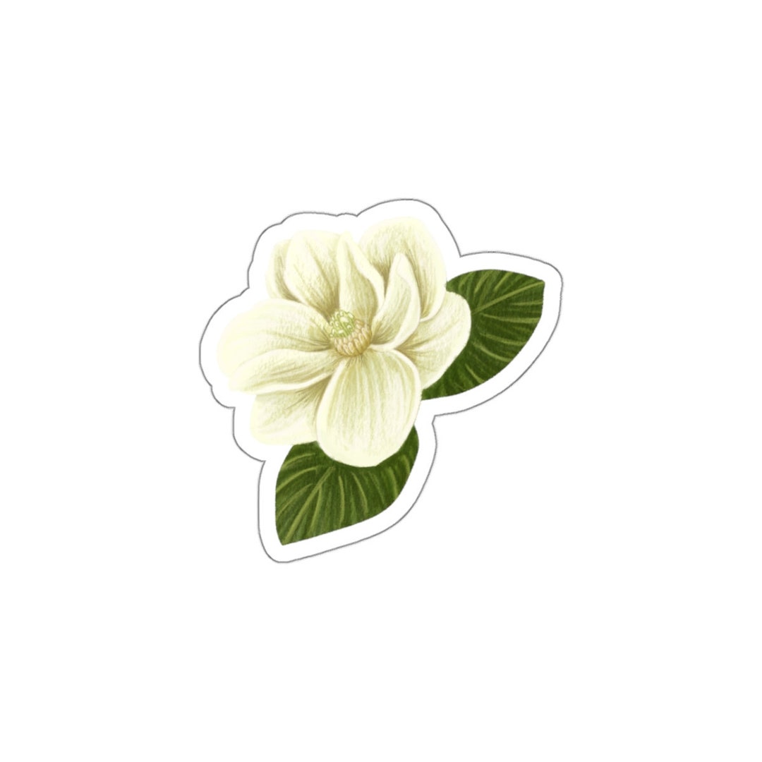 Magnolia Flower Sticker - Etsy