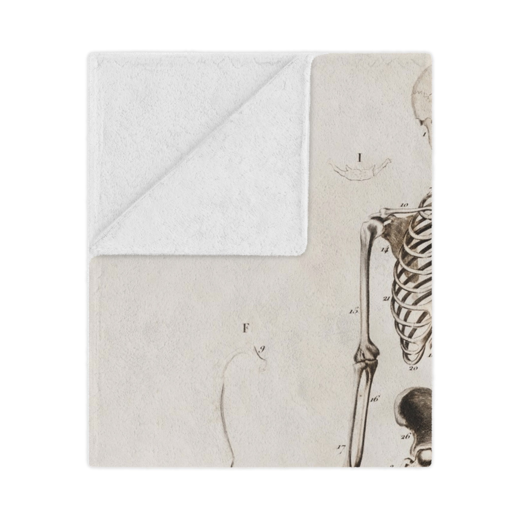 Skeleton Identification Chart Microfiber Blanket - Etsy