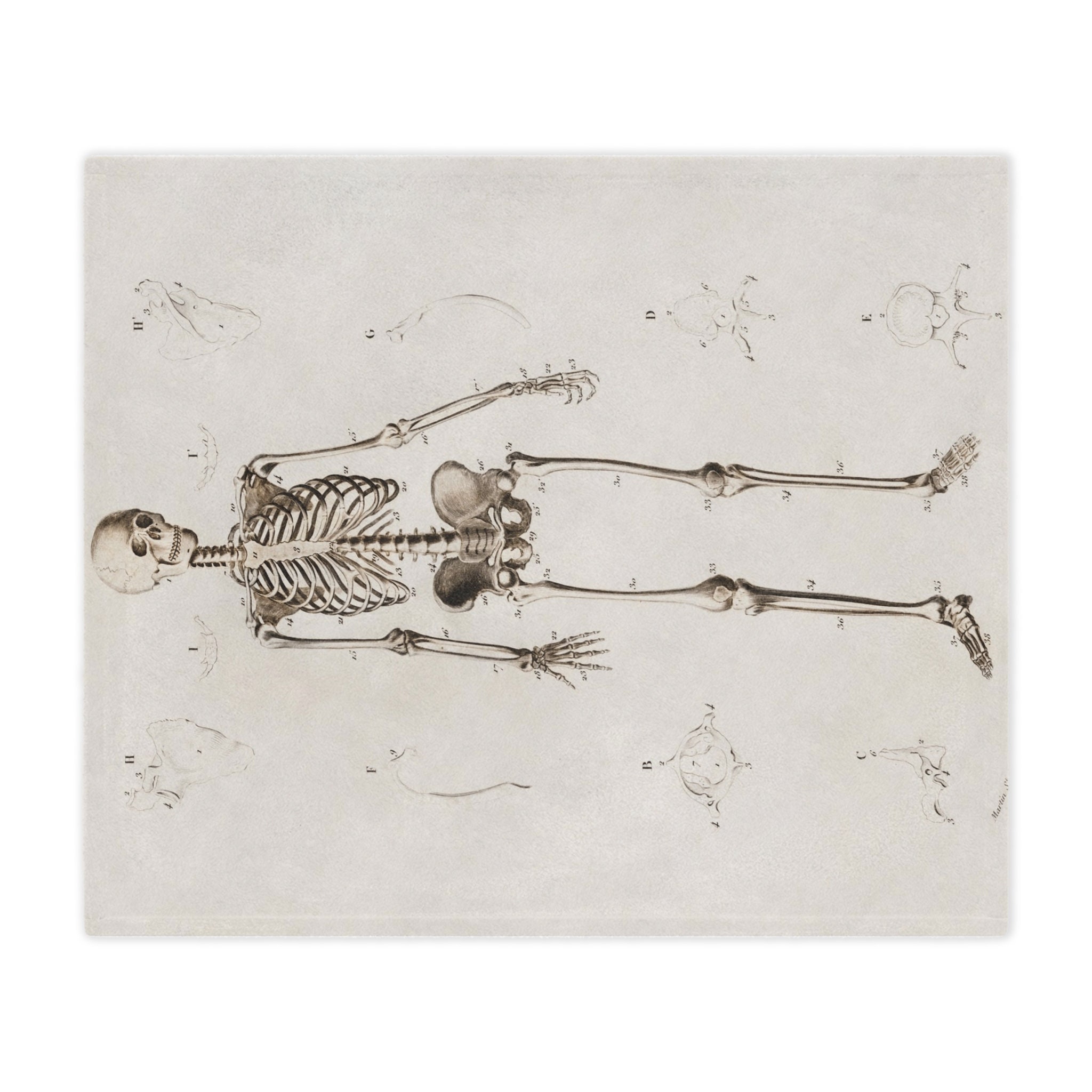 Skeleton Identification Chart Microfiber Blanket - Etsy