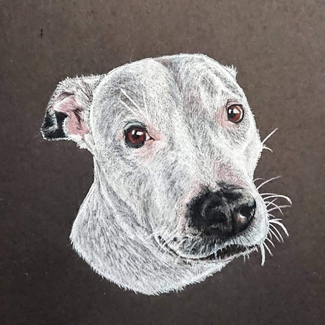 Hand Drawn Dog Portraits - Etsy