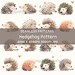 Printable Dahlia Digital Paper Pack Seamless Patterns set of 6 - Etsy