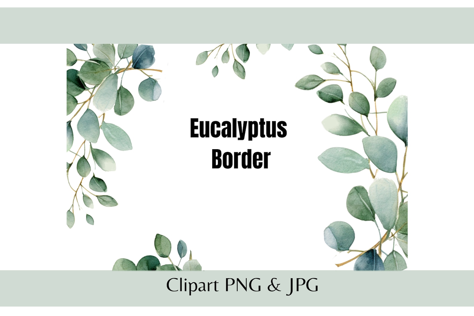 Eucalyptus Border Clipart. Frame PNG. Green Leaves a Watercolor ...