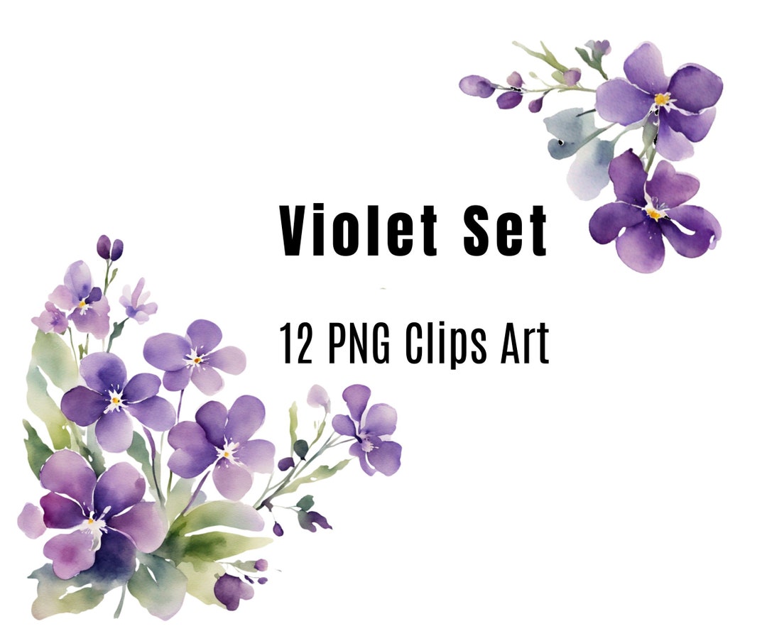 Violet Birth Flower Month February Birth Flower Birthday Month Flower ...