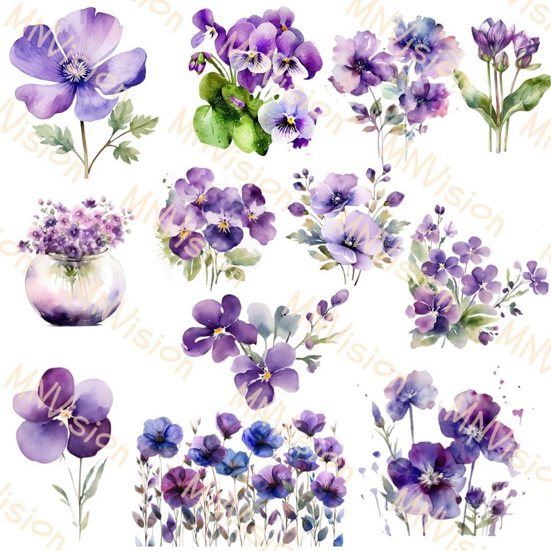 Violet Birth Flower Month February Birth Flower Birthday Month Flower ...