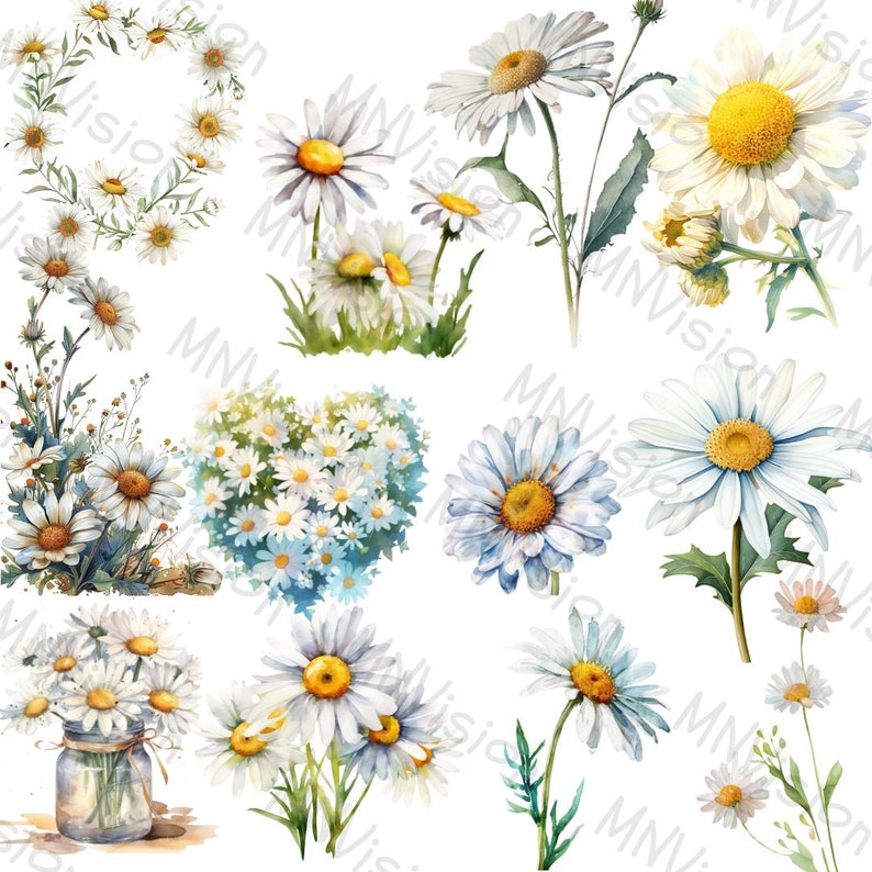 April Daisy Birth Flower Clipart Birthday Month Flower April Birth ...
