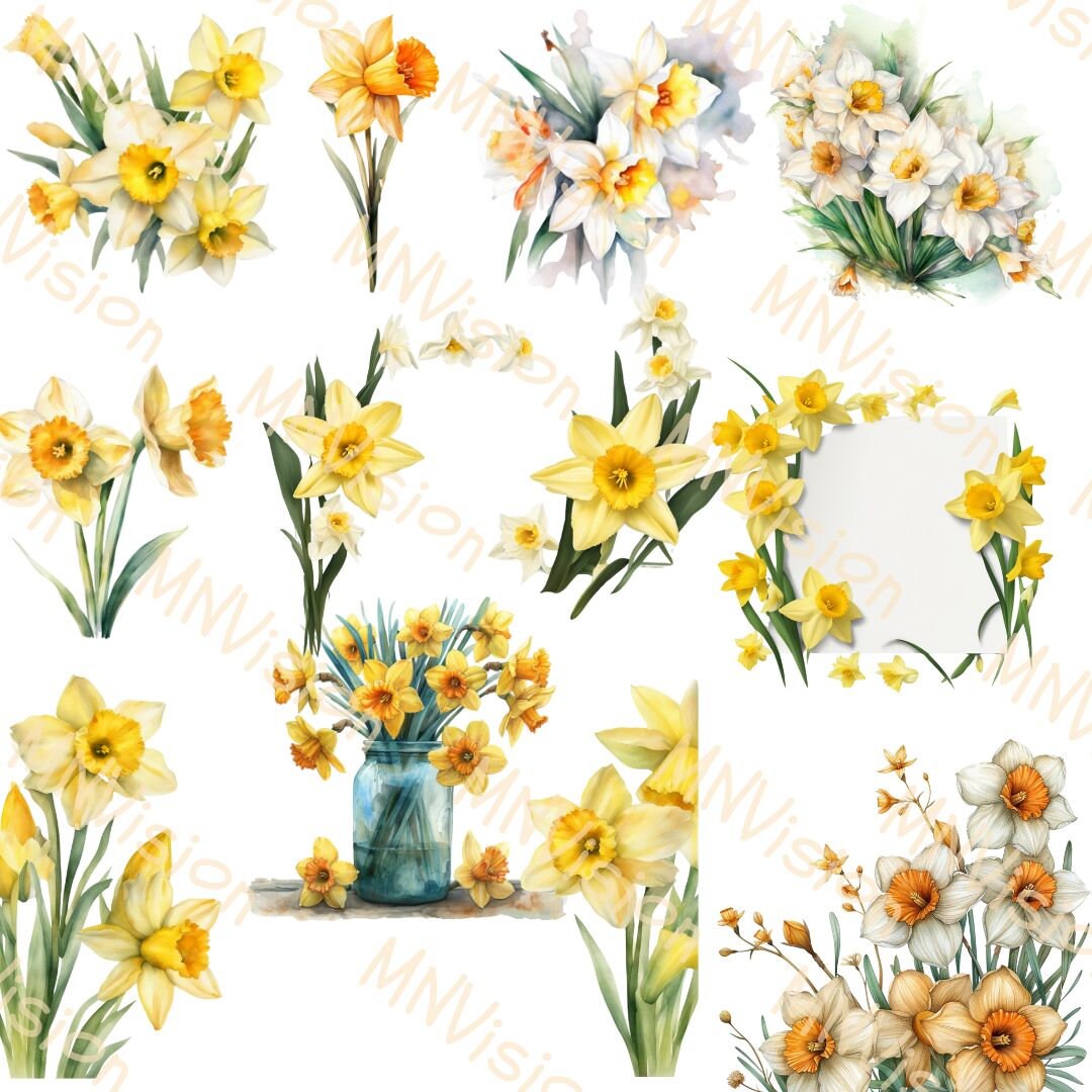 March Daffodil Birth Flower Clipart Birthday Month Flower March Birth ...