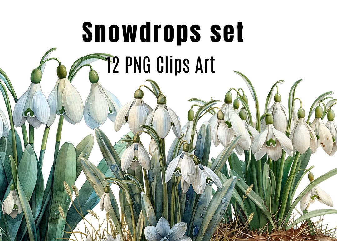 Snowdrops Clipart, Digital Download, January Birth Month Flower Bundle ...