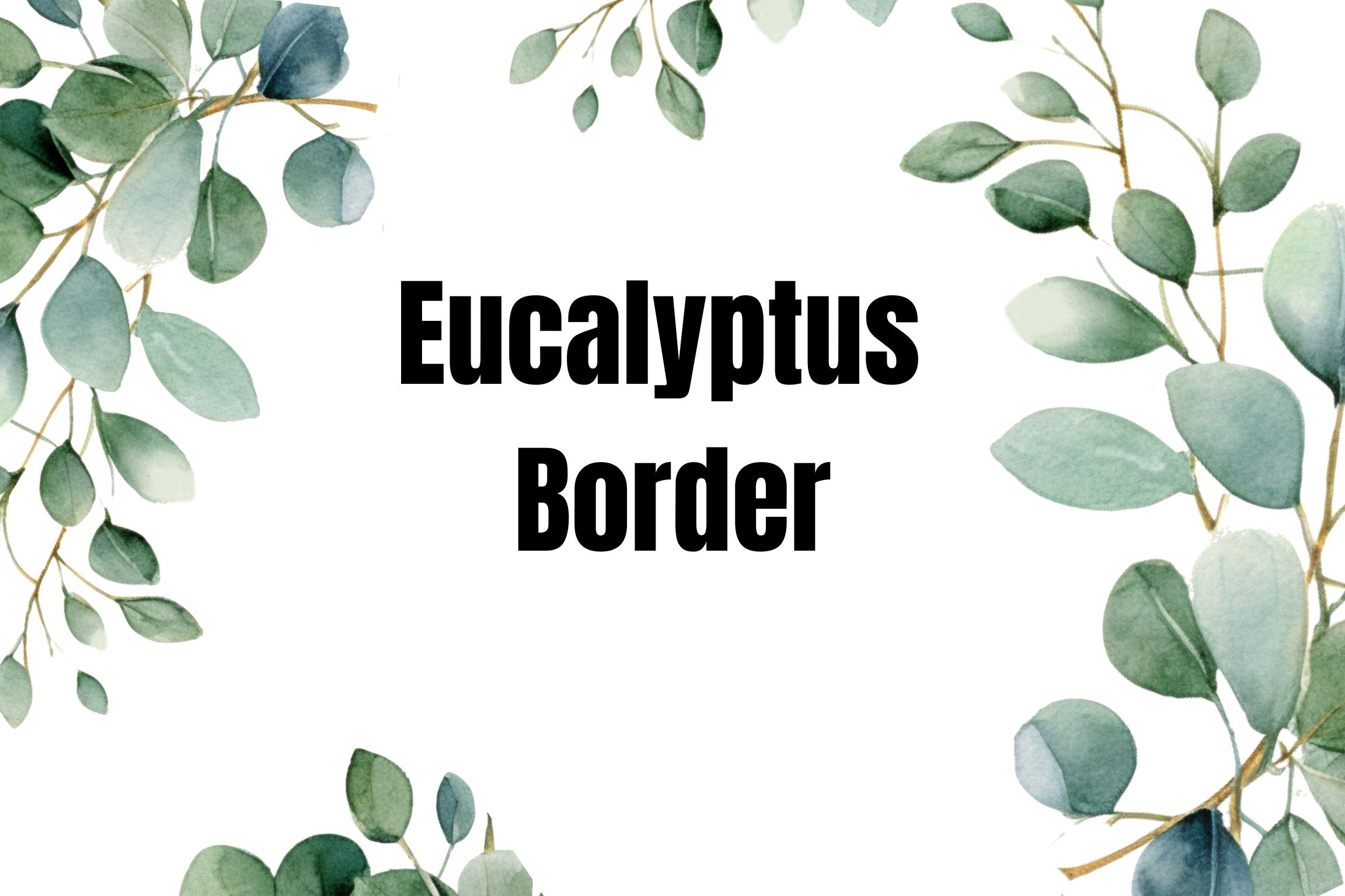 Eucalyptus Border Clipart. Frame PNG. Green Leaves a Watercolor ...