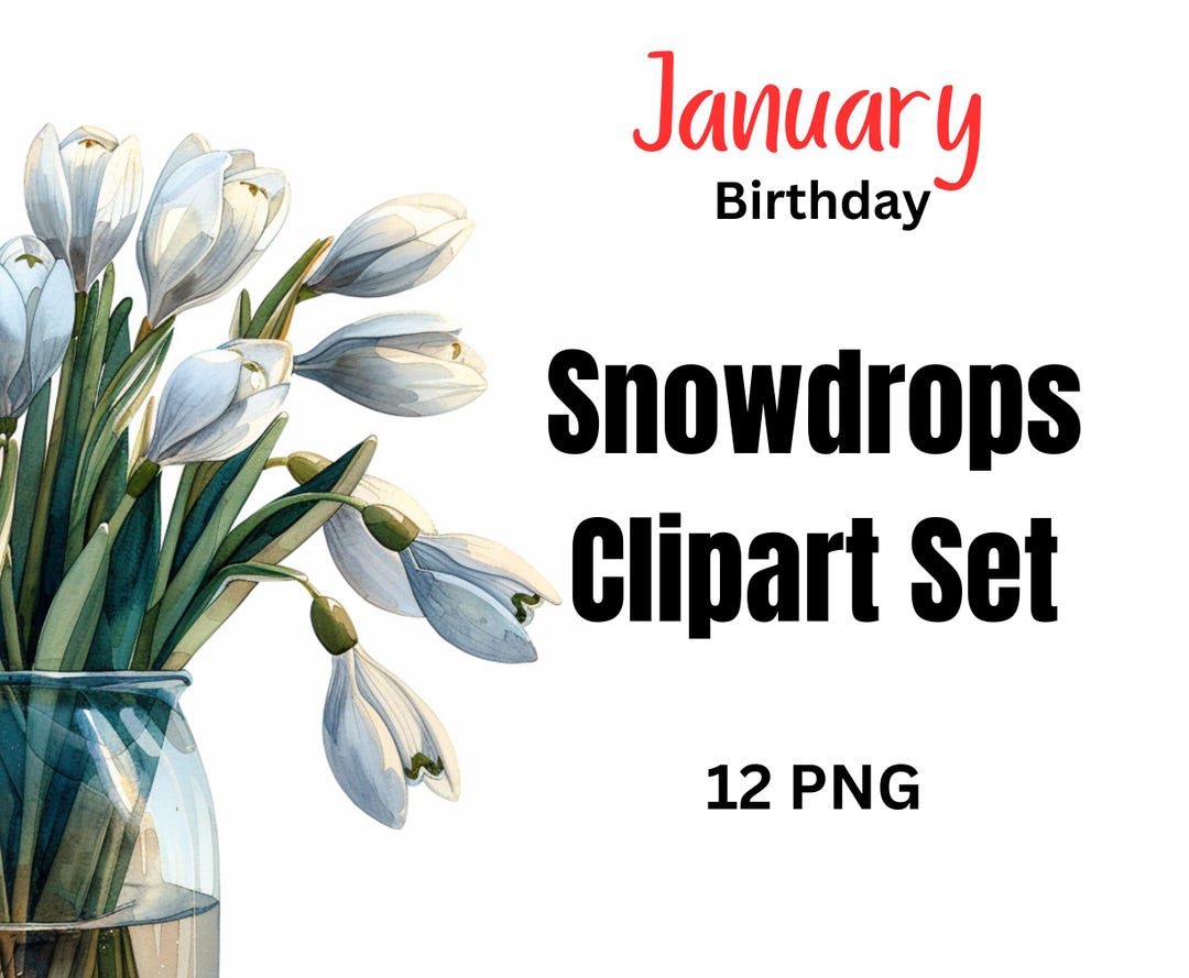 Birth Flower Clipart Snowdrops Clipart Digital Download January Birth ...