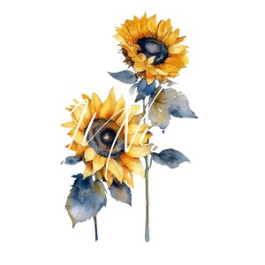 Watercolor Sunflowers Clipart Set | 8 Botanical PNG | Instant Download ...