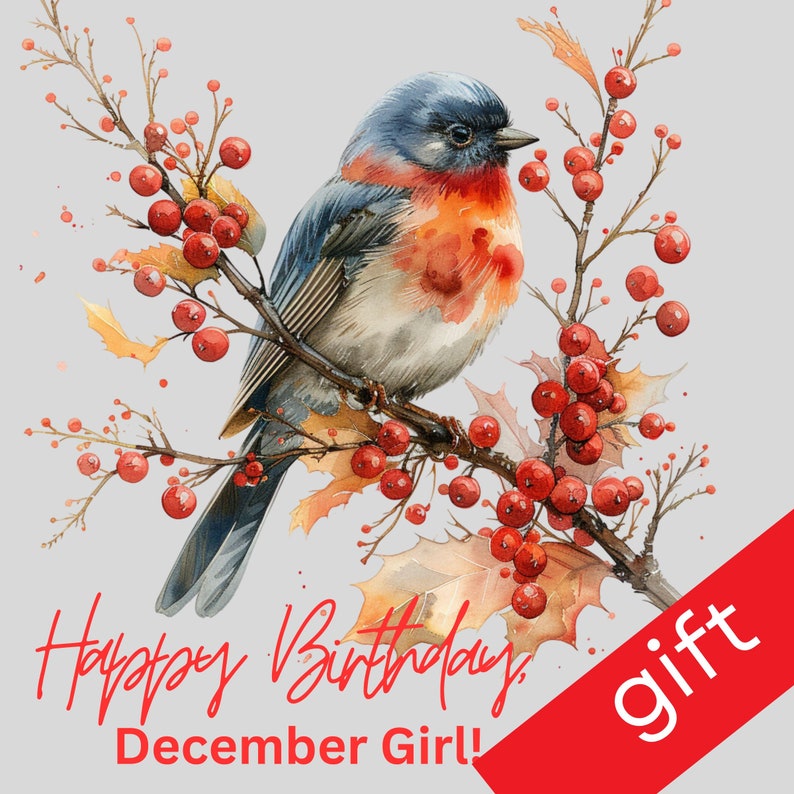 December Holly Birth Flower Clipart Birthday Month Flower December ...