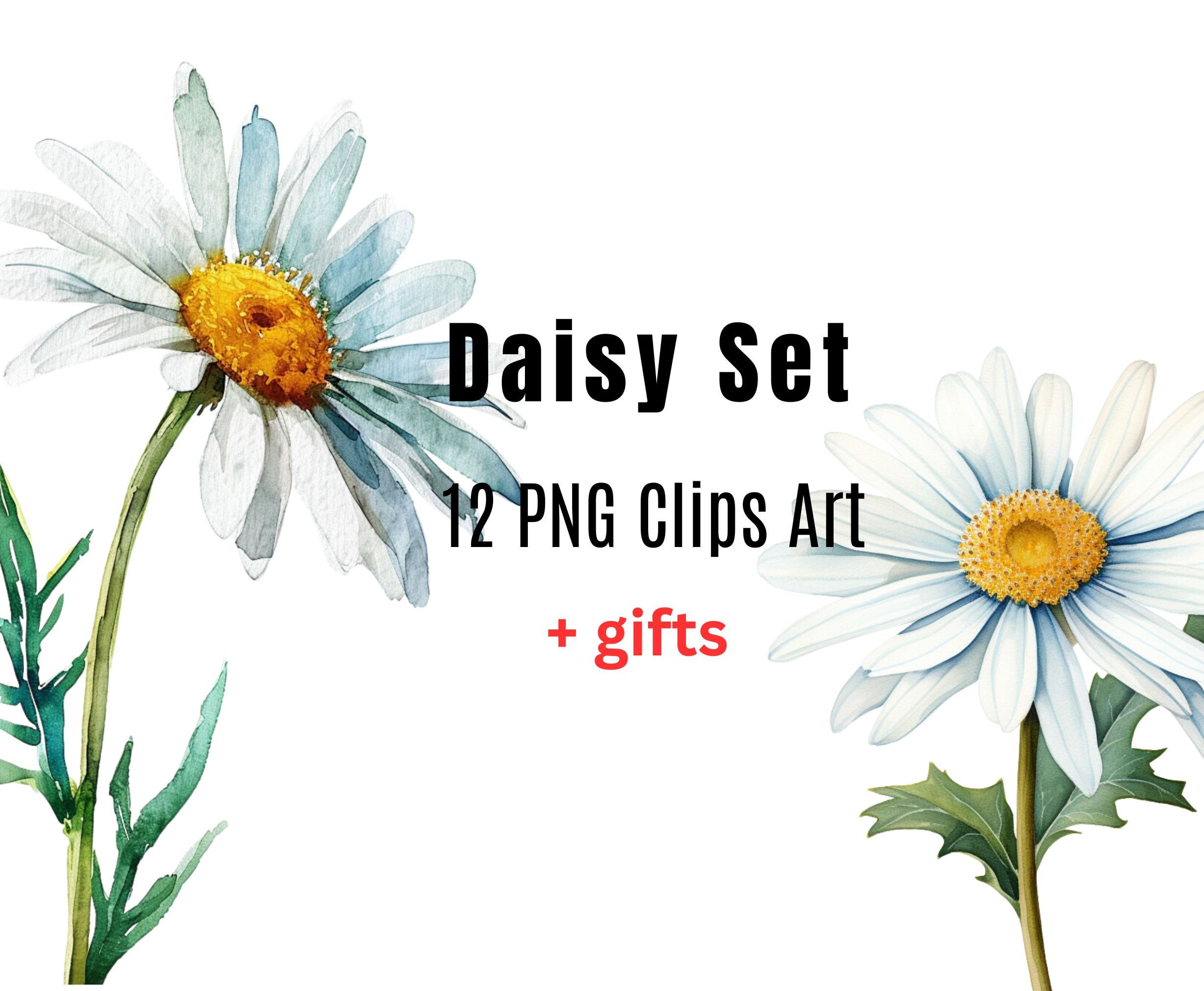 April Daisy Birth Flower Clipart Birthday Month Flower April Birth ...