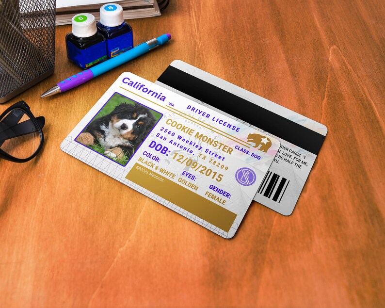 Little Baby ID Card Personalized Identification for Children ...