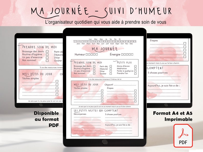 Daily Mood Tracker Sheet PDF – Day Organizer, French Diary, to Do List, Printable Anti ...