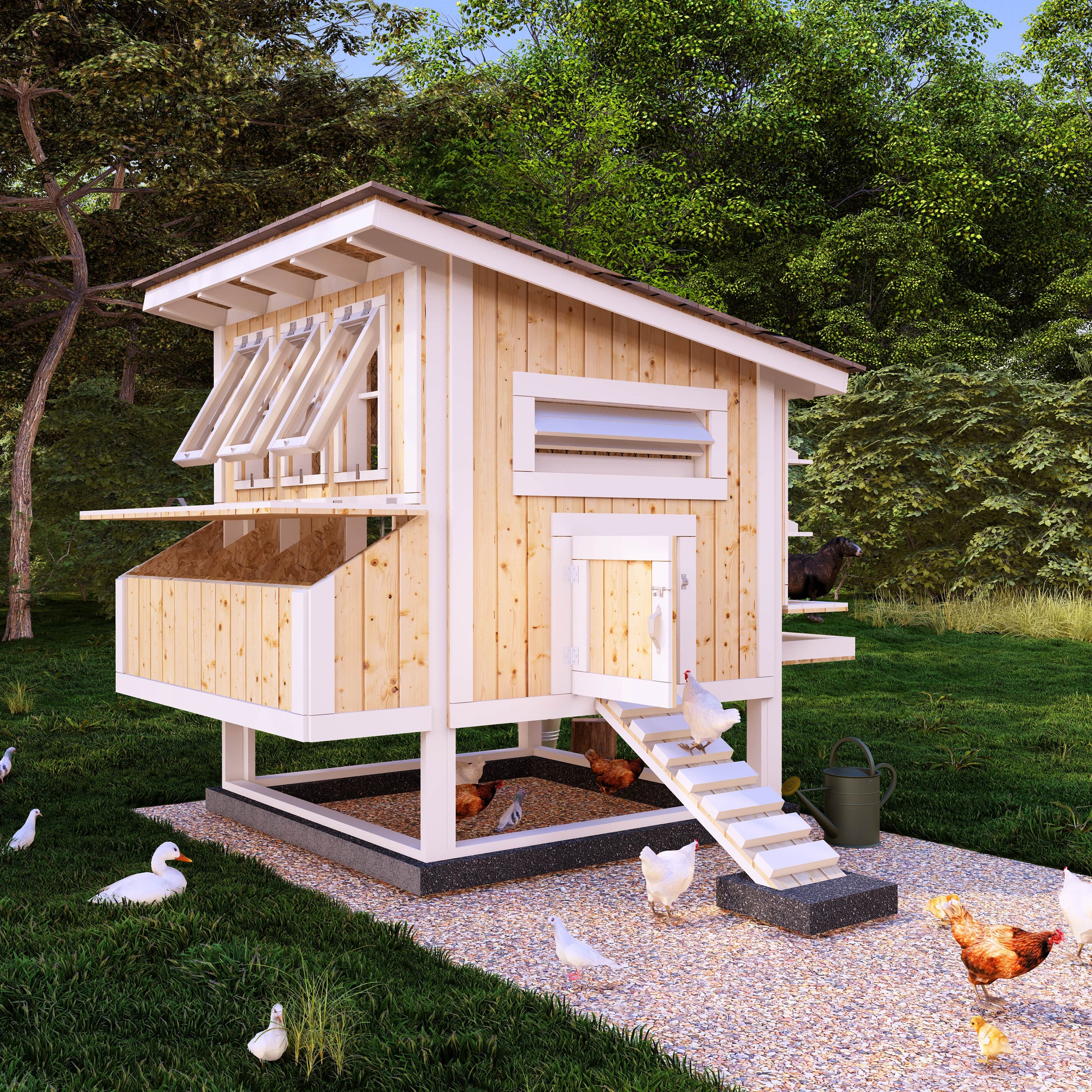 16 Chickens Coop Plans: Small Farm DIY 6x6 Blueprint - PDF Woodworking ...