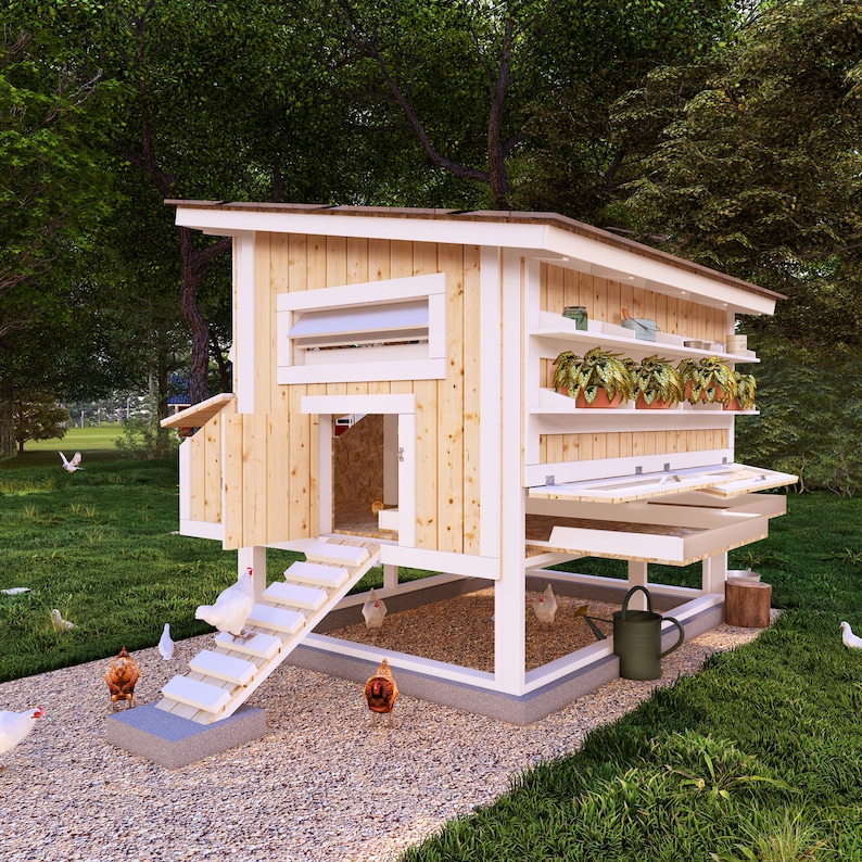 20 Chickens Coop Plans Small Backyard Farm DIY 6x8 Blueprint - PDF ...