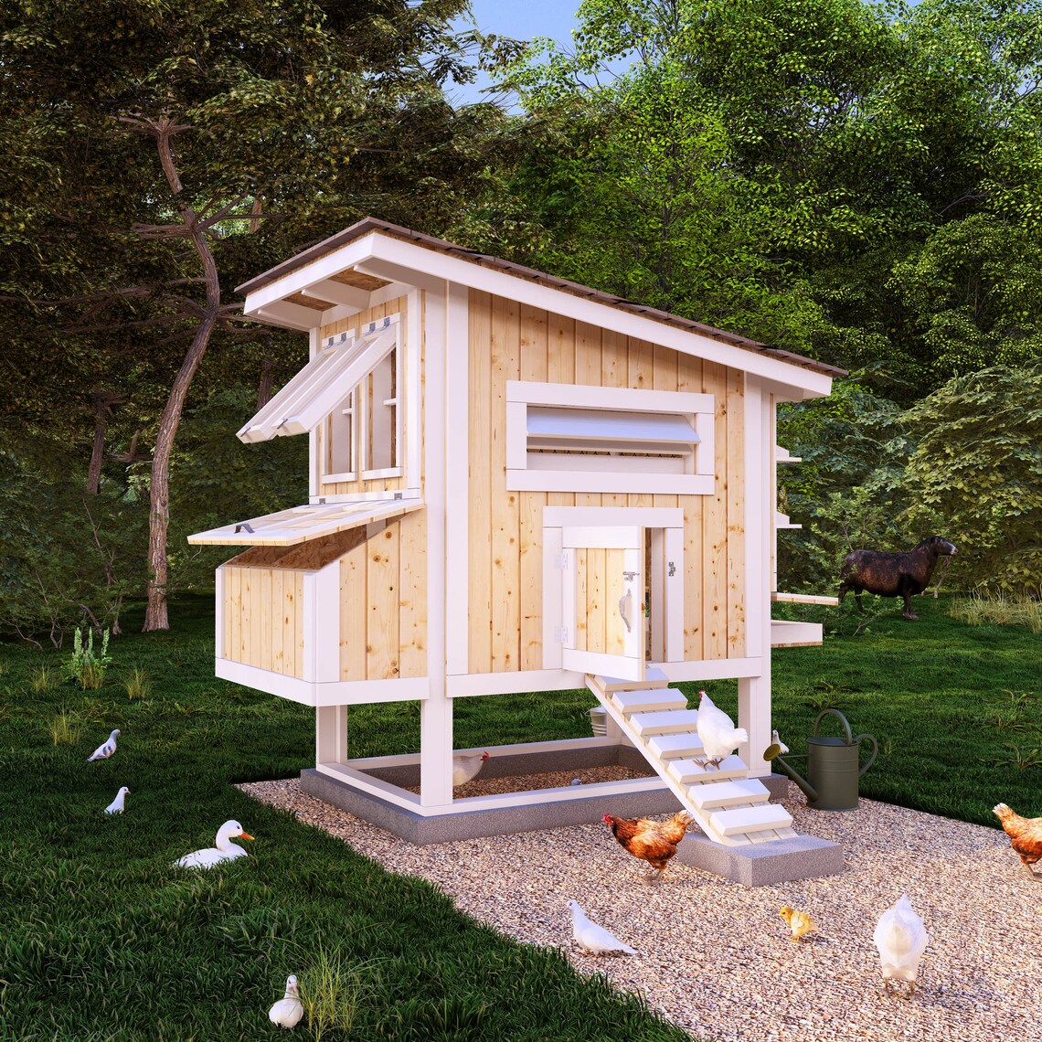 Small Chicken Coop Plans for 10 Chickens, Easy-to-build Blueprint PDF ...