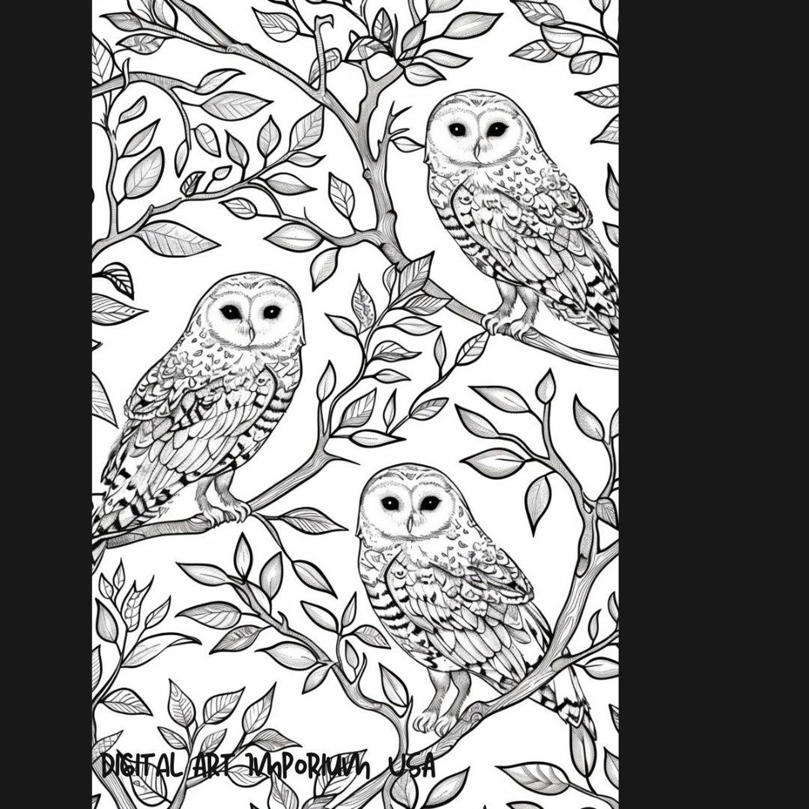 Set of 6 Coloring Book Pages of Owl Art Fun Creative Art - Etsy