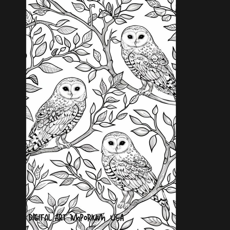 Set of 6 Coloring Book Pages of Owl Art Fun Creative Art - Etsy