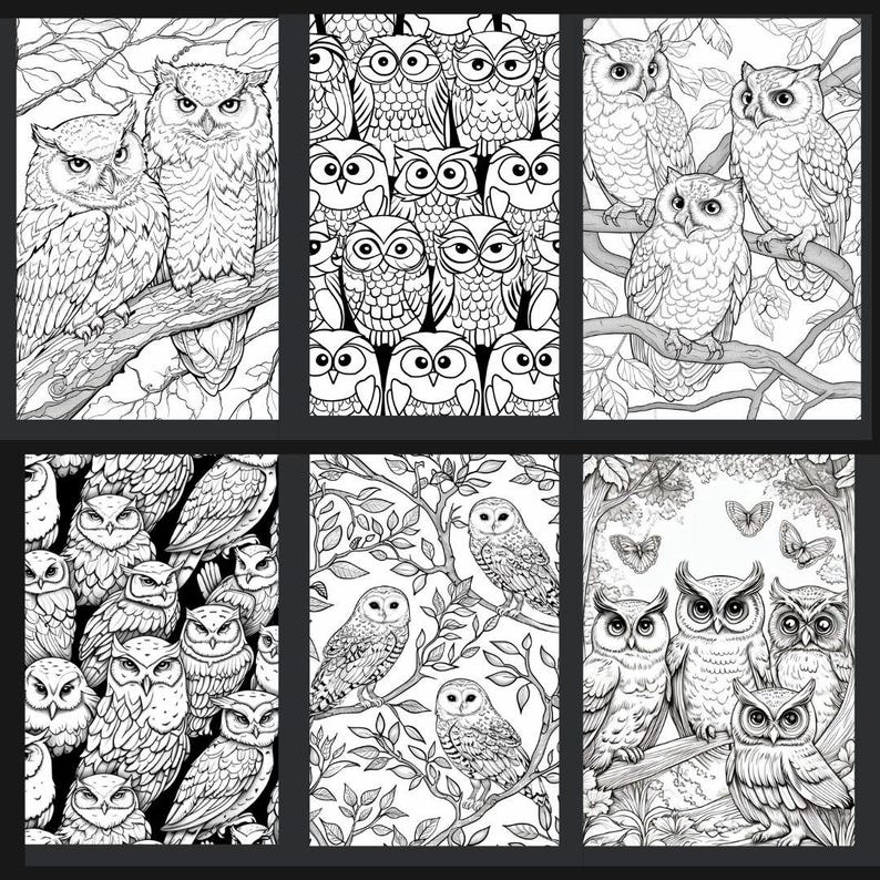 Set of 6 Coloring Book Pages of Owl Art Fun Creative Art - Etsy