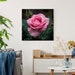 Rose Photograph Digital Download, Pink Single Rose Macro Image ...