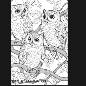 Set of 6 Coloring Book Pages of Owl Art Fun Creative Art - Etsy