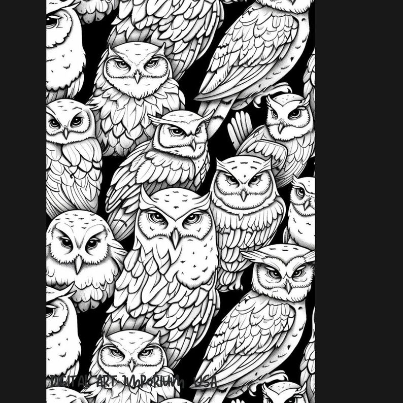 Set of 6 Coloring Book Pages of Owl Art Fun Creative Art - Etsy