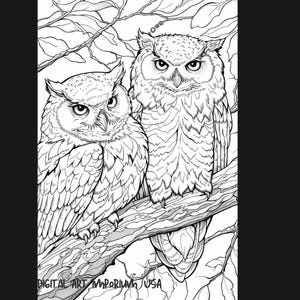 Set of 6 Coloring Book Pages of Owl Art Fun Creative Art - Etsy