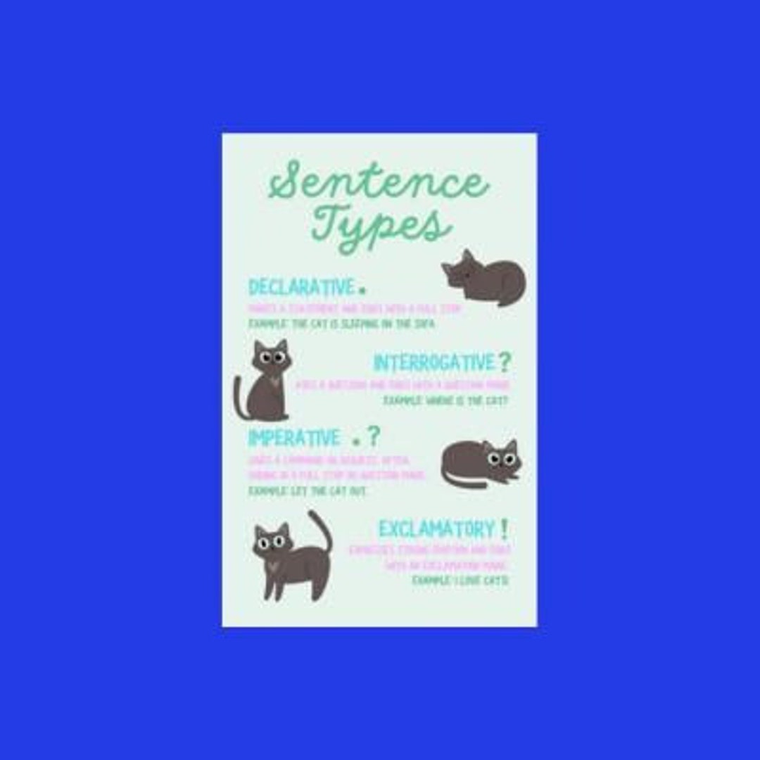 DIGITIAL PRINTOUT - Grammar Posters for Your Classroom - SENTENCE Types ...