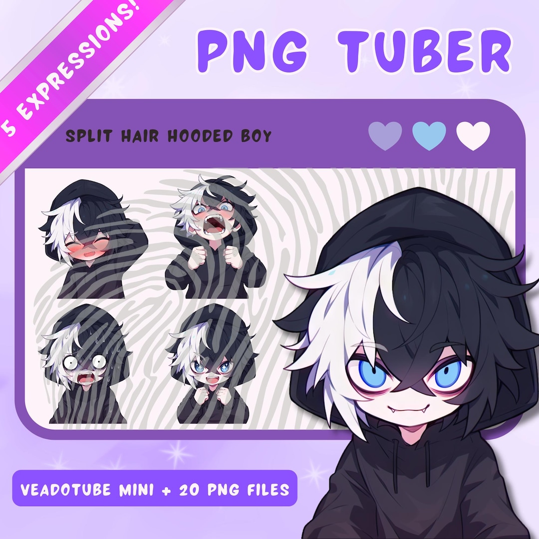 Split Dye Hair Hooded Boy Pngtuber Model: Anime Chibi Twitch Stream ...