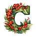 Christmas Holly Letter C Graphic Transparent Letter Graphic Printable ...