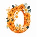Orange Floral Letter O Transparent Letter Graphic Printable Art ...