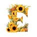 Sunflowers Letter E Graphic Transparent Letter Graphic Printable Art ...