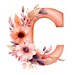 Rose Gold Floral Letter C Graphic Transparent Letter Graphic Printable ...