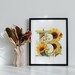 Sunflowers Letter B Graphic Transparent Letter Graphic Printable Art ...