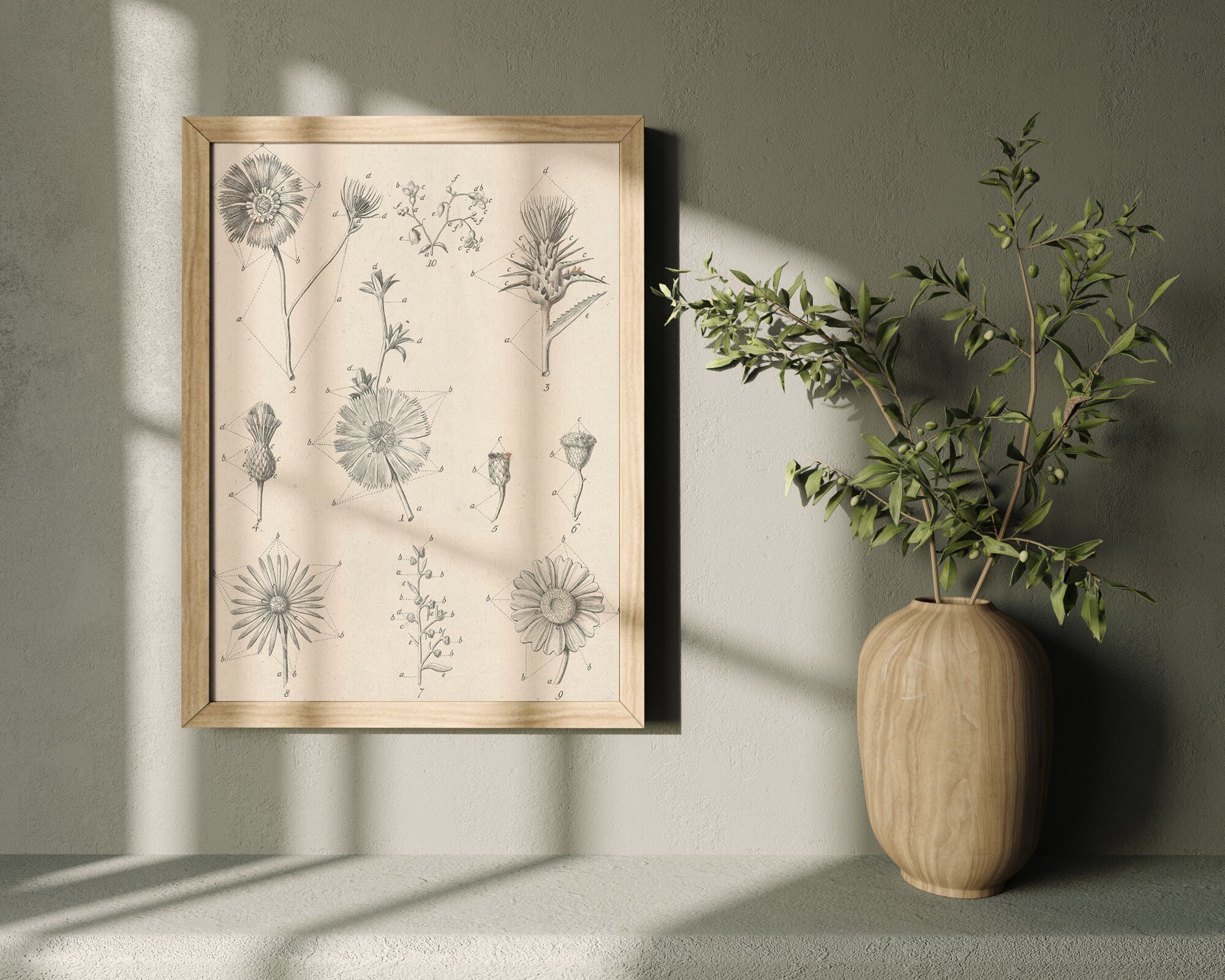 Antique Botanical Sketches Printable, Detailed Floral Diagram Art ...